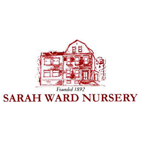 Sarah Ward – Jay Street